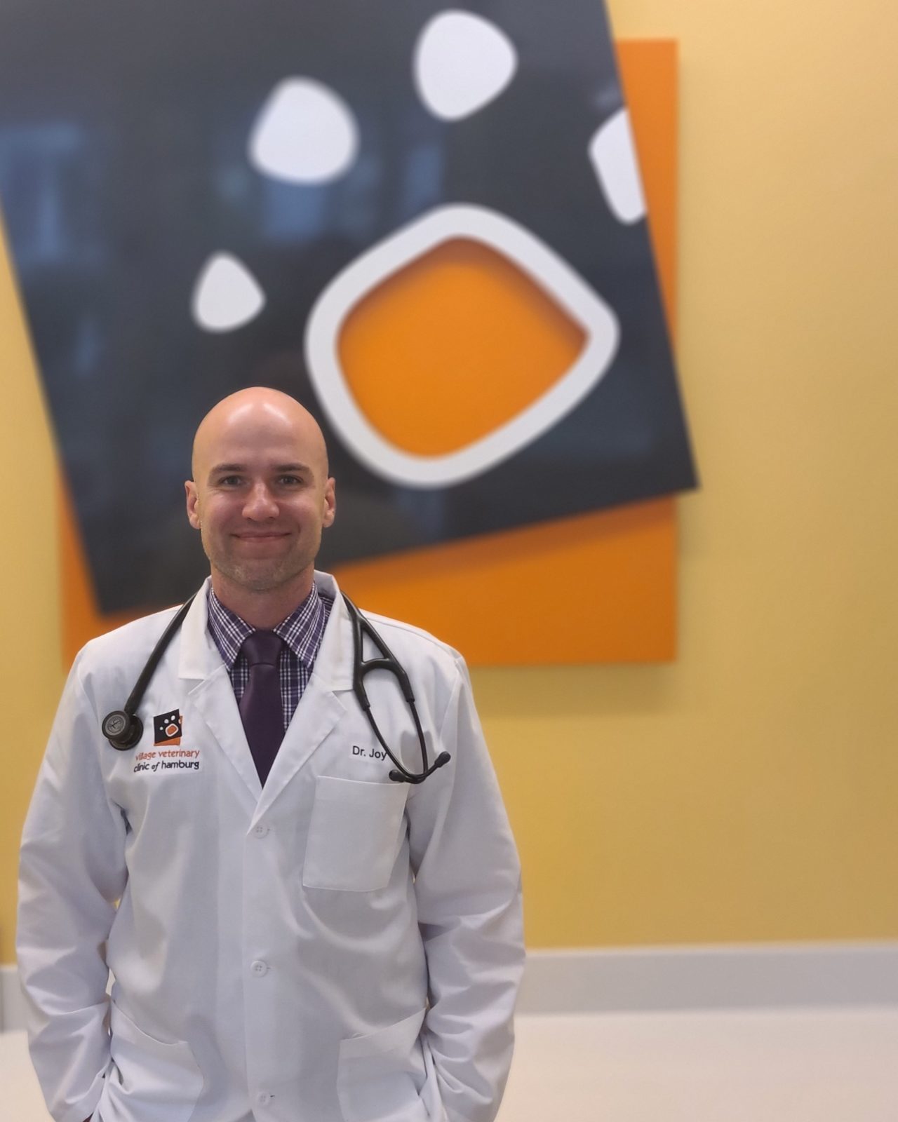 Best Veterinary Hospital In Hamburg, NY | VVCH