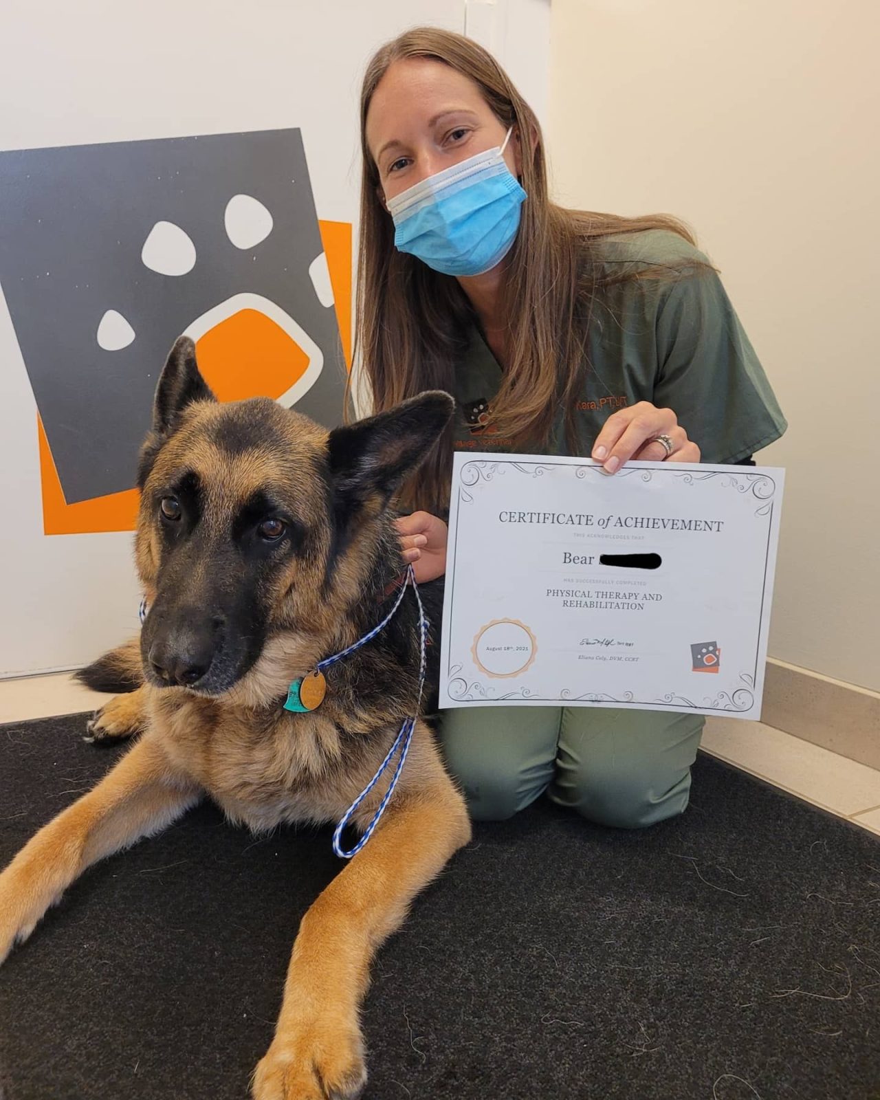 Best Veterinary Hospital In Hamburg, NY | VVCH