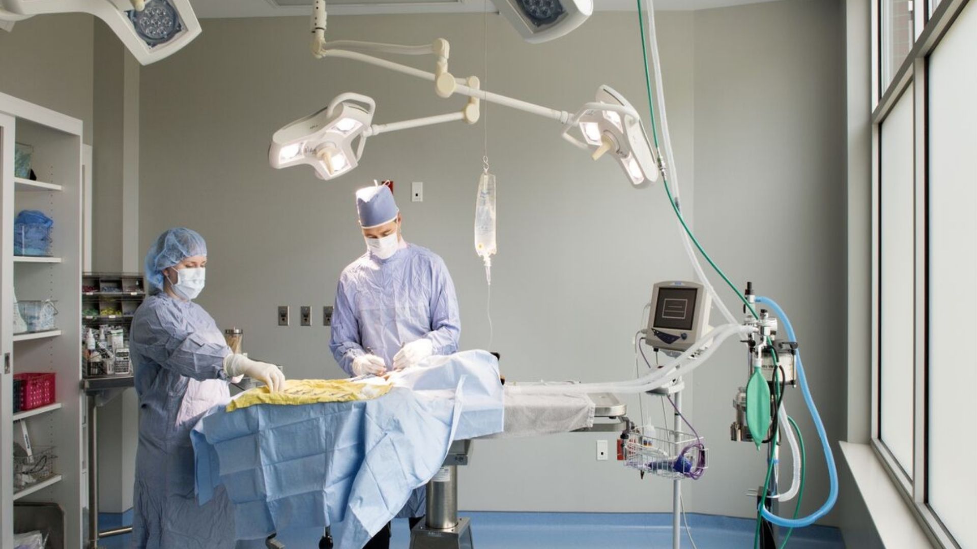 Pet Surgery In Hamburg, NY | Village Veterinary Clinic