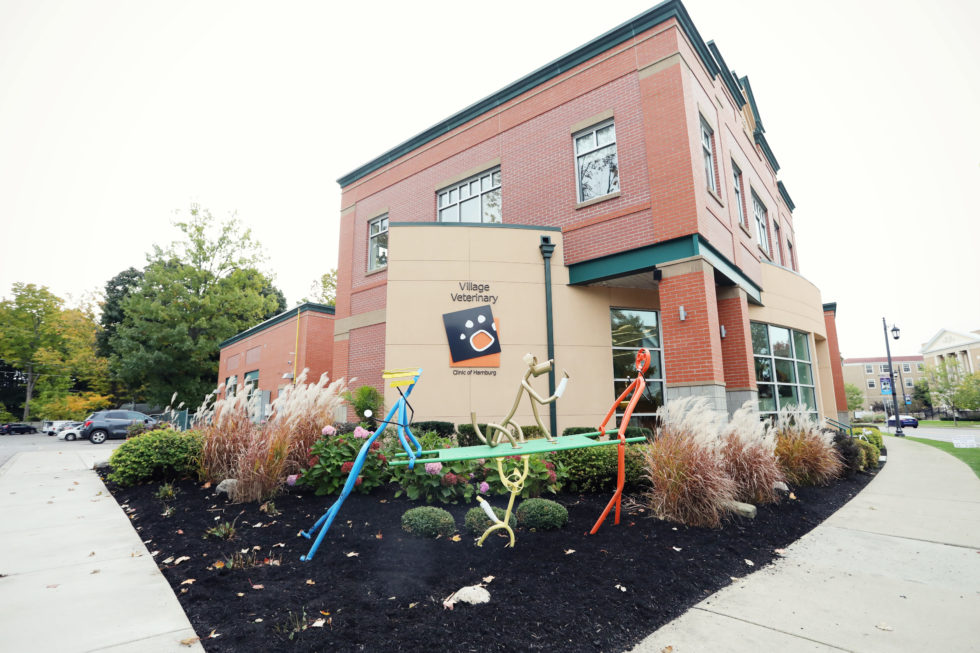 VVCH Patient Gallery | Vet Clinic In Hamburg, NY 14075
