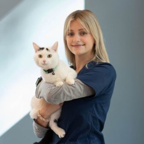 Veterinarian In Hamburg, NY 14075 | VVCH